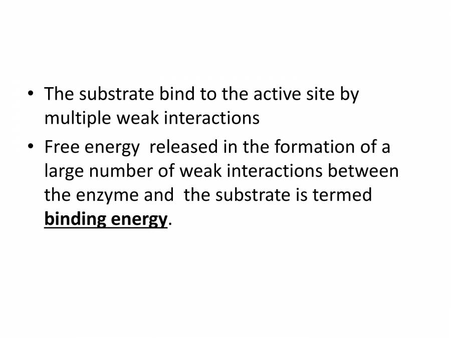 ENZYME - PowerPoint Slides - LearnPick India