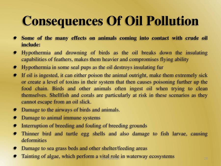Oil Pollution PPT - PowerPoint Slides - LearnPick India