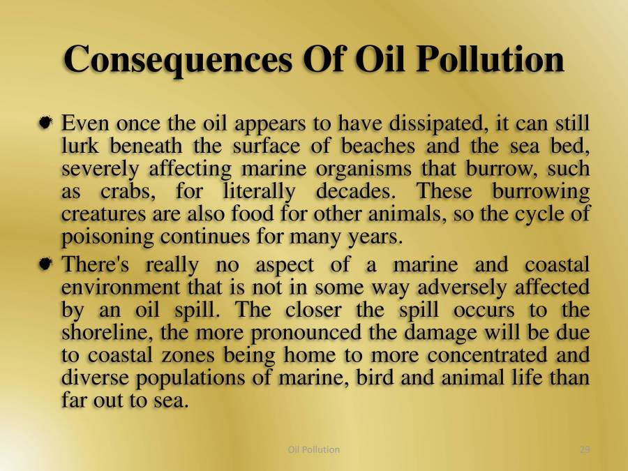 Oil Pollution PPT - PowerPoint Slides - LearnPick India