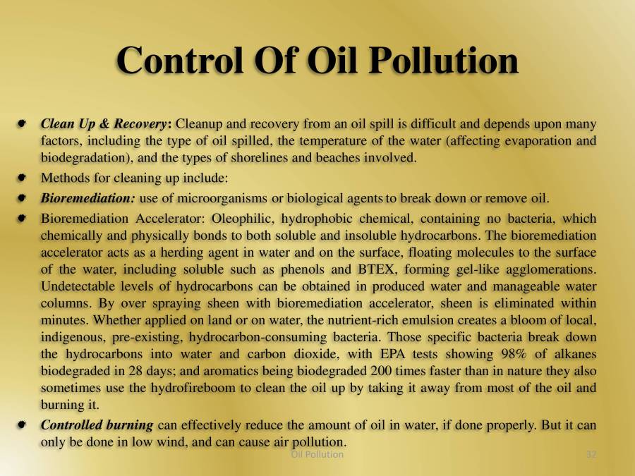 Oil Pollution PPT - PowerPoint Slides - LearnPick India