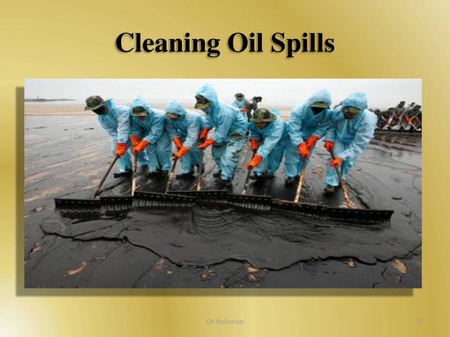 Oil Pollution PPT - PowerPoint Slides - LearnPick India
