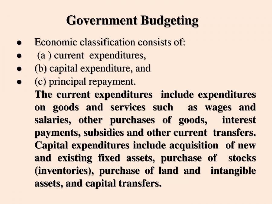 PPT On Public Finance - PowerPoint Slides - LearnPick India