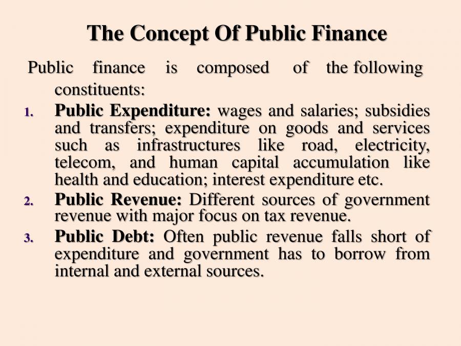 PPT On Public Finance - PowerPoint Slides - LearnPick India