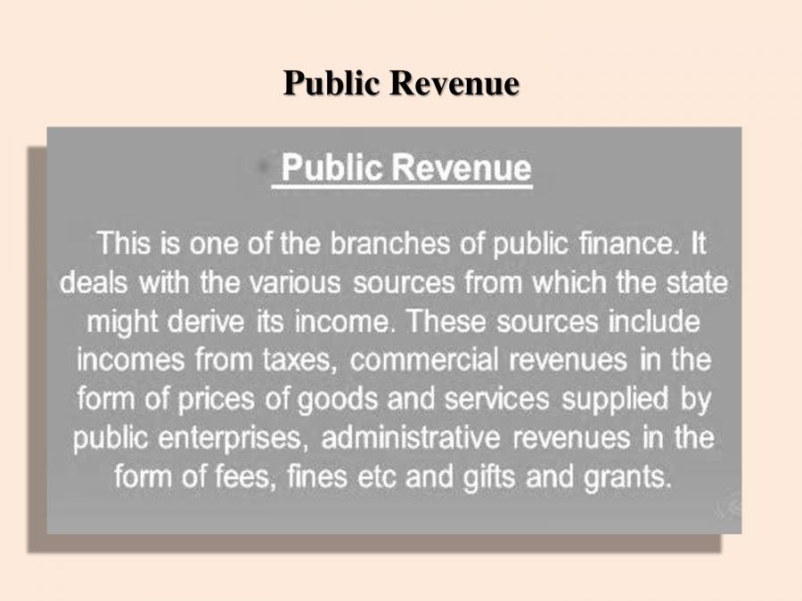 PPT On Public Finance - PowerPoint Slides - LearnPick India