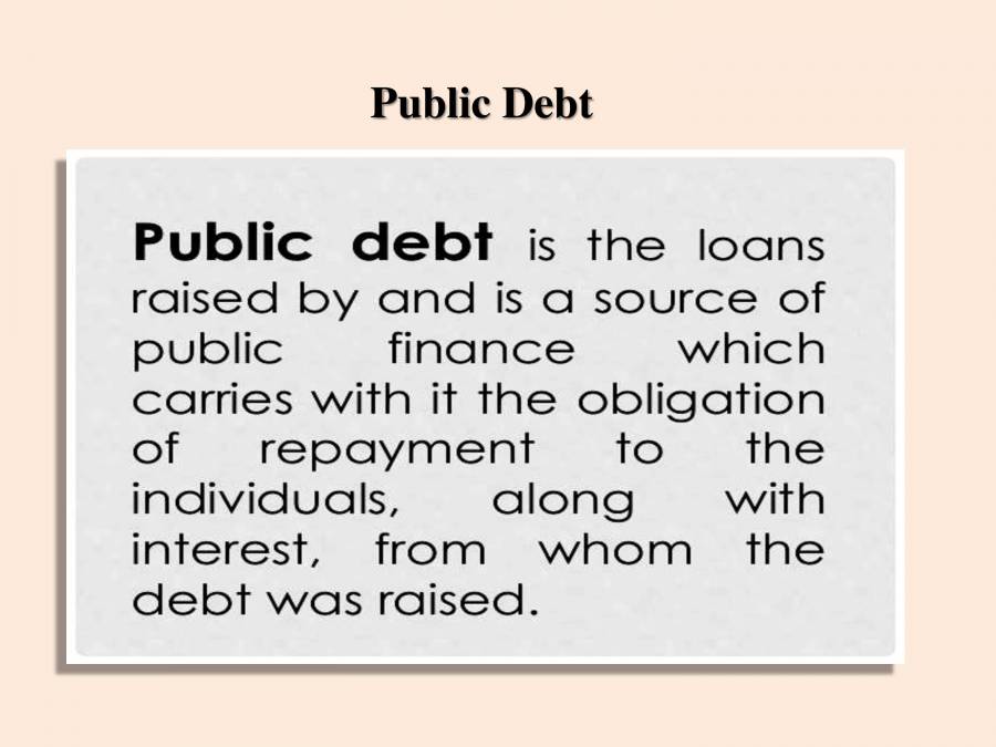 PPT On Public Finance - PowerPoint Slides - LearnPick India