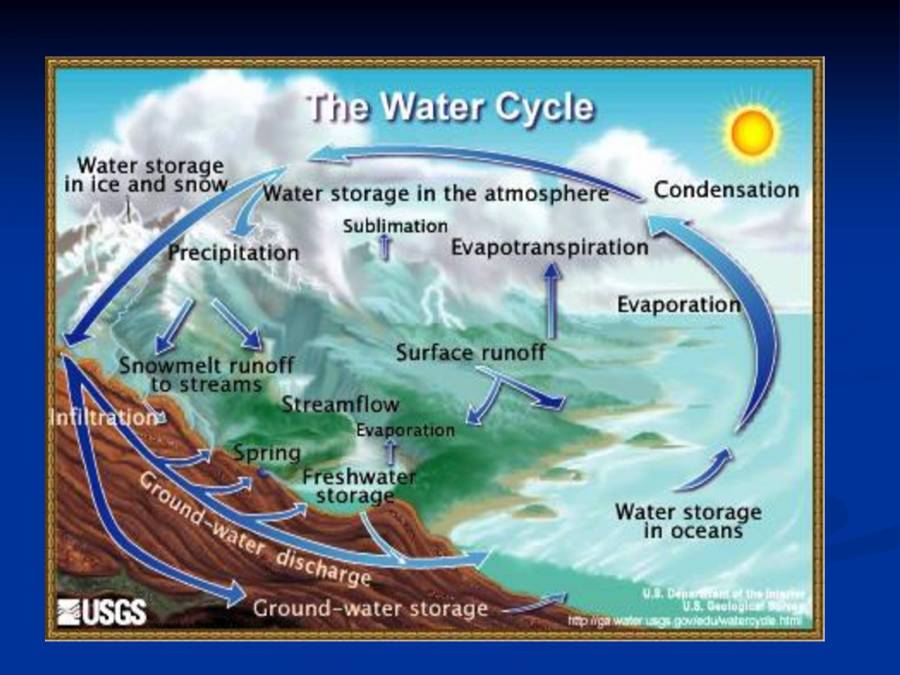 Hydrological Cycle - PowerPoint Slides - LearnPick India