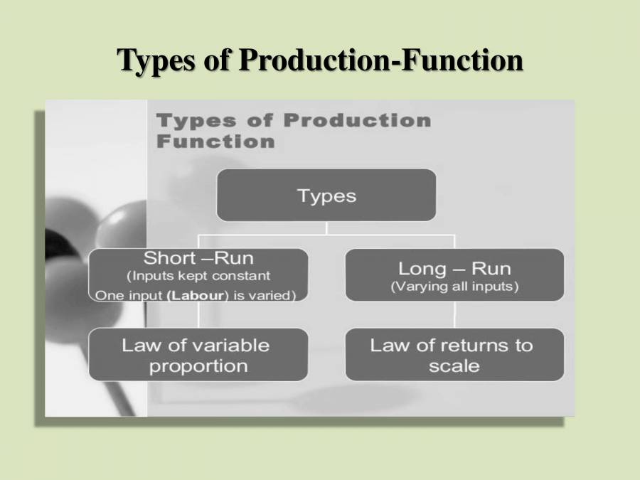 PPT On Production Function - PowerPoint Slides - LearnPick India
