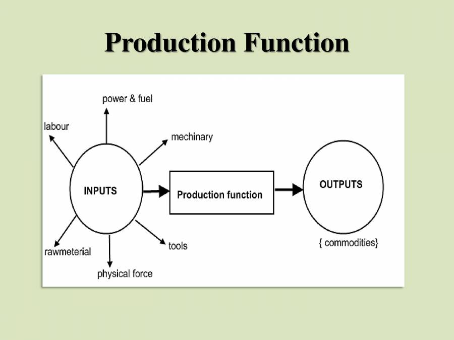 PPT On Production Function - PowerPoint Slides - LearnPick India