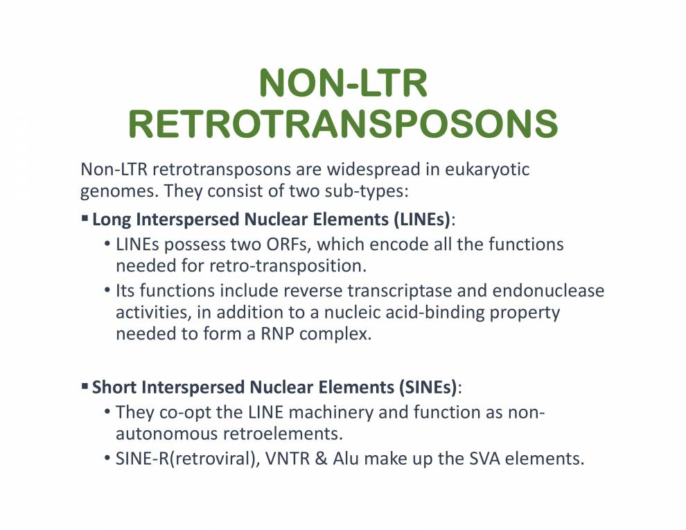 PPT On Retro-Transposons - PowerPoint Slides - LearnPick India