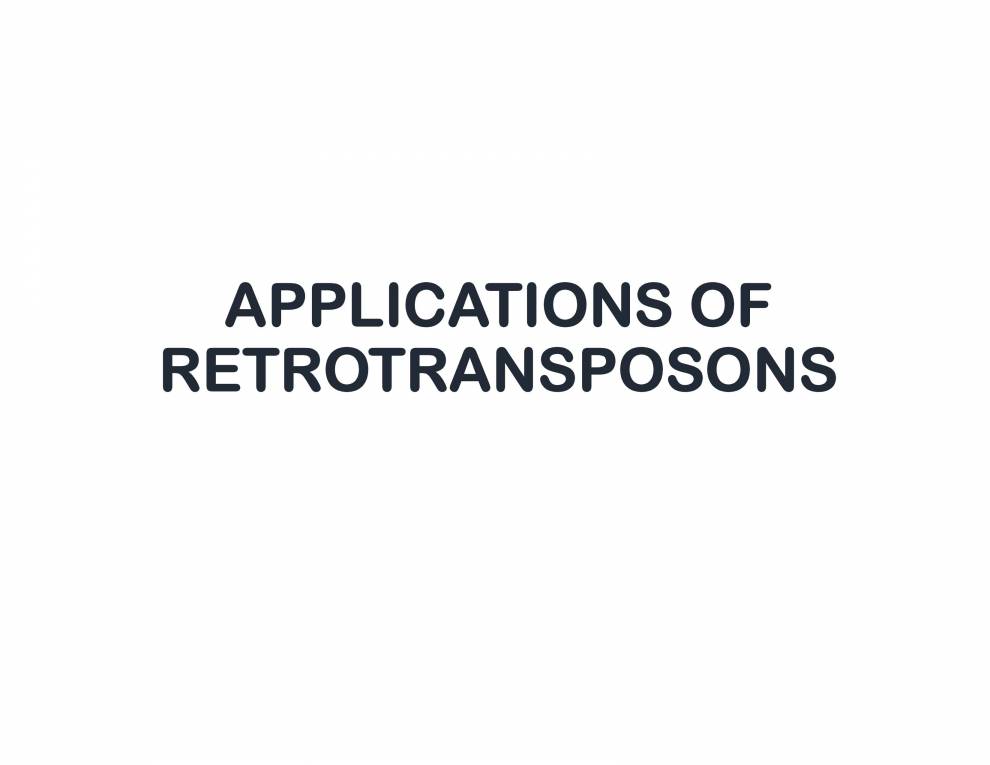 PPT On Retro-Transposons - PowerPoint Slides - LearnPick India