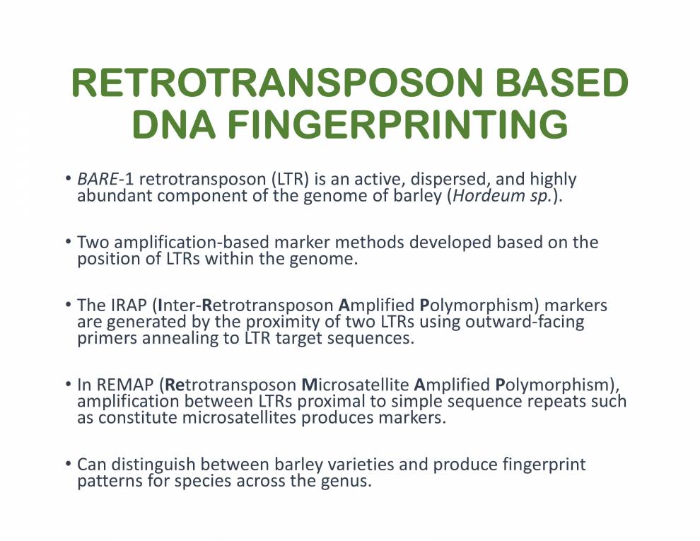 PPT On Retro-Transposons - PowerPoint Slides - LearnPick India