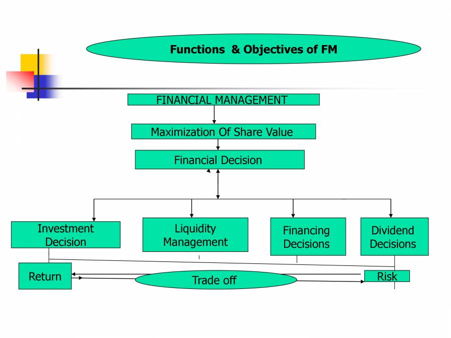Financial Management - PowerPoint Slides - LearnPick India