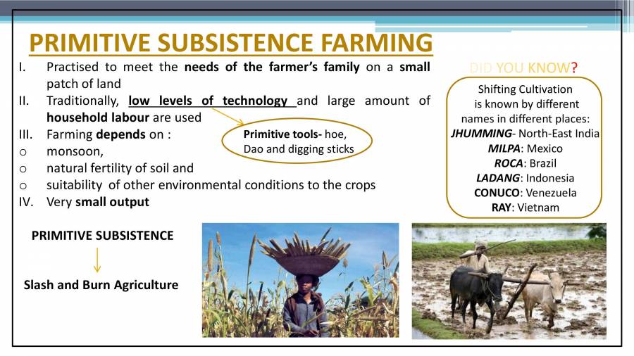 Primitive Subsistence Farming