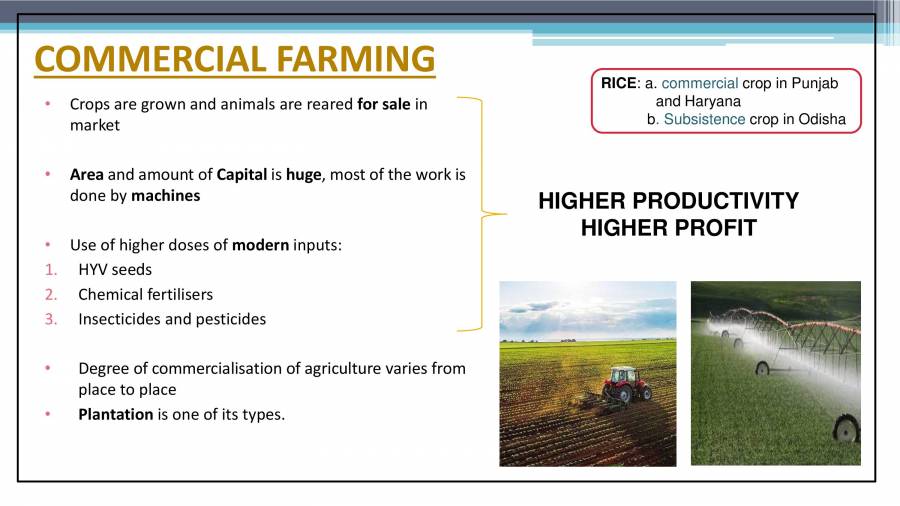PPT On Agriculture CBSE Class VIII - PowerPoint Slides - LearnPick India