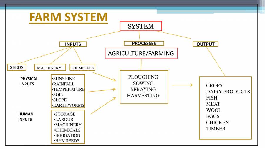 PPT On Agriculture CBSE Class VIII - PowerPoint Slides - LearnPick India