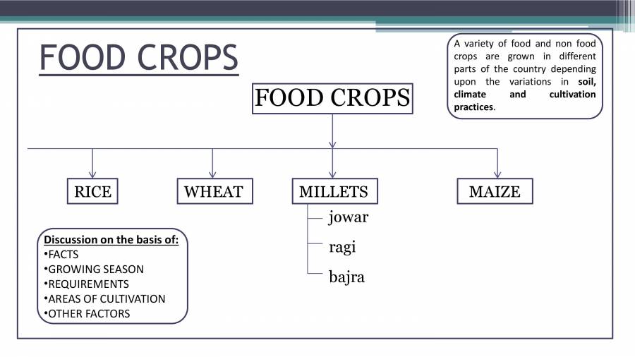 PPT ON AGRICULTURE CBSE CLASS VIII - PowerPoint Slides - LearnPick India