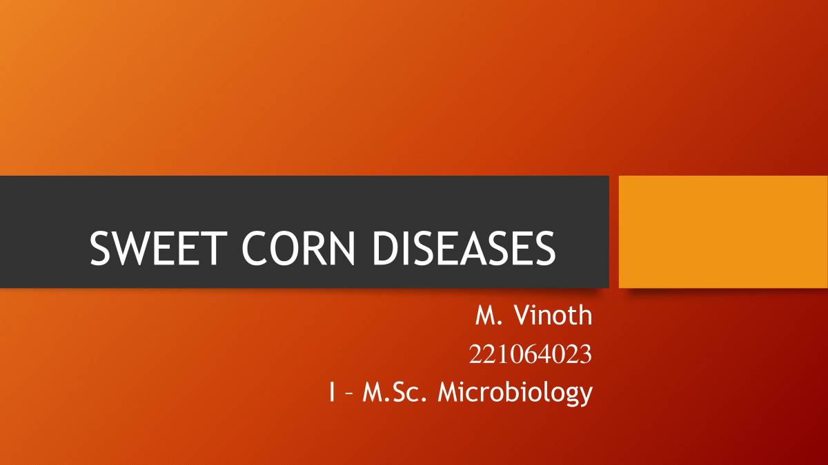 Notes On Sweet Corn Diseases - PowerPoint Slides - LearnPick India