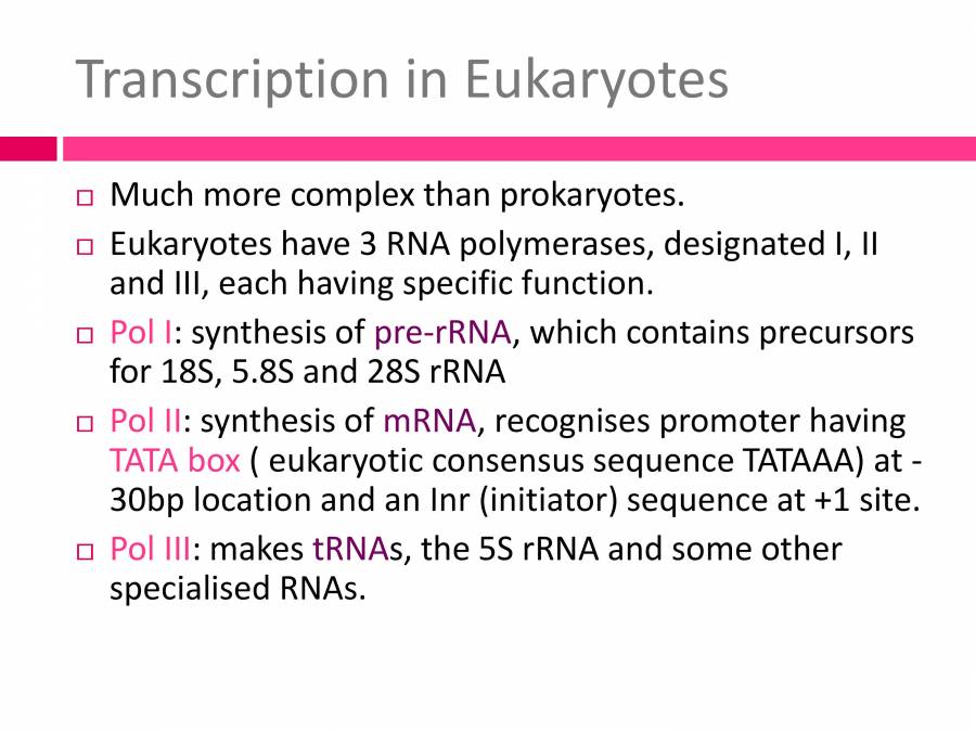 Presentation On Gene Transcription - PowerPoint Slides - LearnPick India