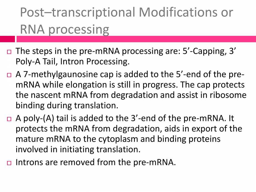 Presentation On Gene Transcription - PowerPoint Slides - LearnPick India