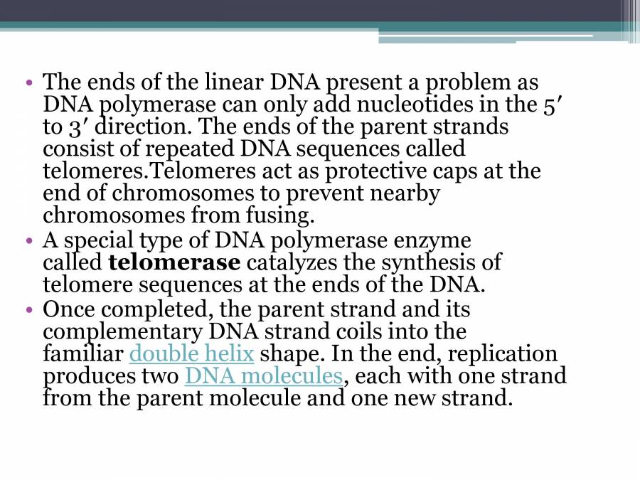 Presentation On DNA Replication - PowerPoint Slides - LearnPick India