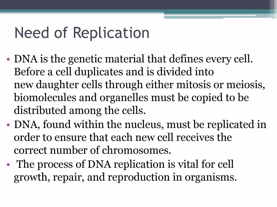 Presentation On DNA Replication - PowerPoint Slides - LearnPick India
