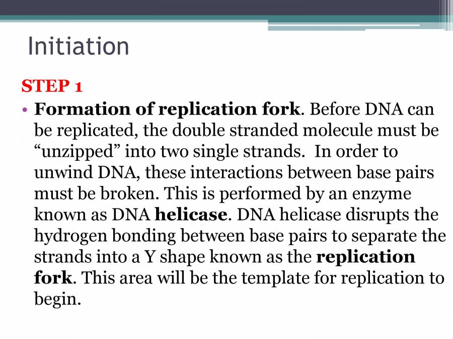 Presentation On DNA Replication - PowerPoint Slides - LearnPick India