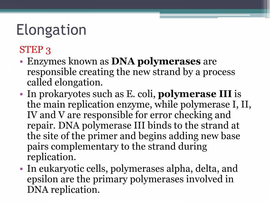 Presentation On DNA Replication - PowerPoint Slides - LearnPick India