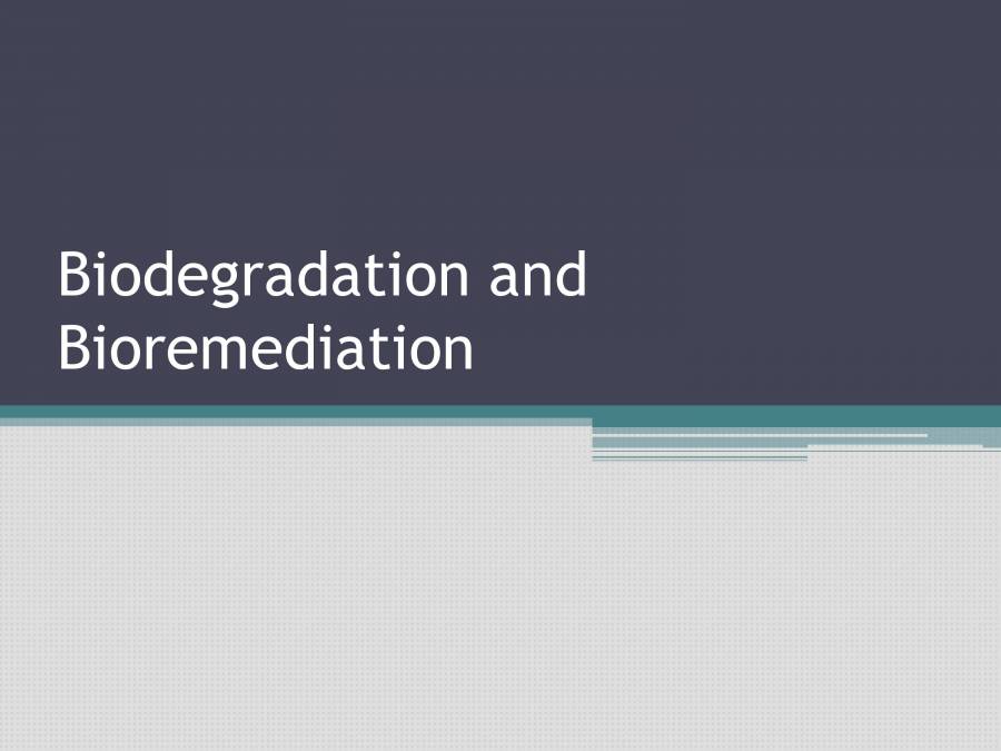 Presentation On Biodegradation And Bioremediation - PowerPoint Slides ...