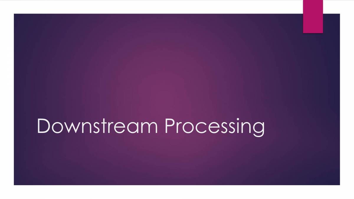 Presentation On Downstream Processing - PowerPoint Slides - LearnPick India