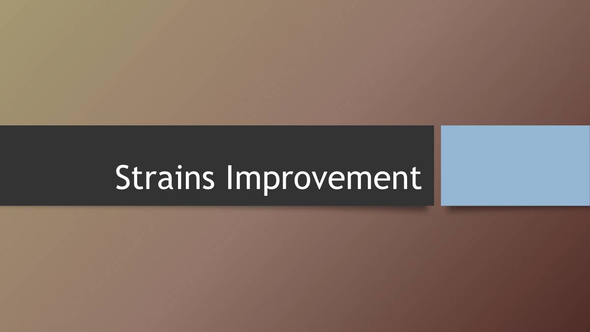 PPT On Strain Improvement - PowerPoint Slides - LearnPick India