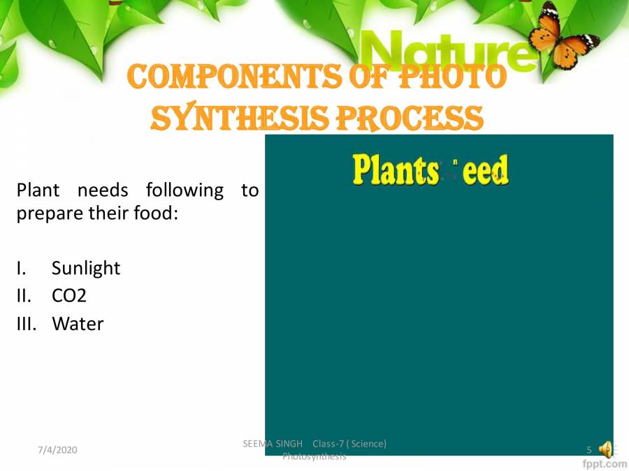 Presentation On Photosynthesis (Class-VII) - PowerPoint Slides ...