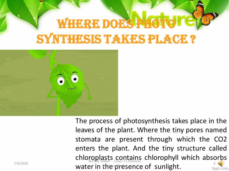 Presentation On Photosynthesis (Class-VII) - PowerPoint Slides ...