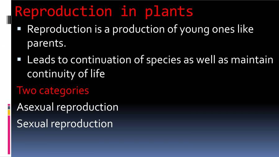 Presentation On Reproduction In Plants 1 - PowerPoint Slides ...