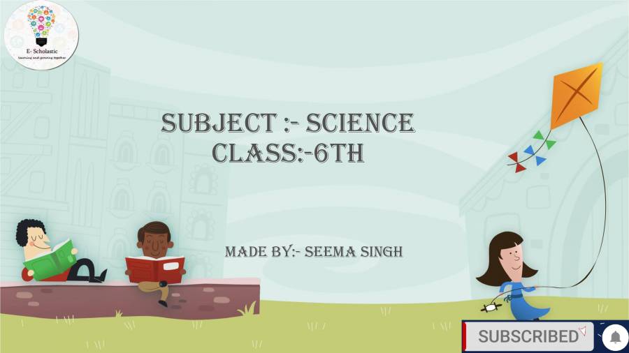 Presentation On Food Chain (Science Class 6) - PowerPoint Slides - LearnPick India