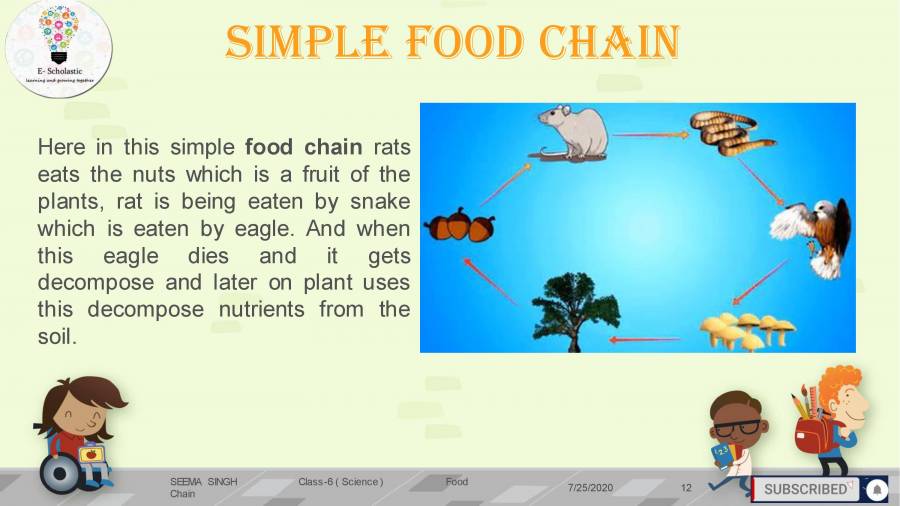Presentation On Food Chain (Science Class 6) - PowerPoint Slides - LearnPick India