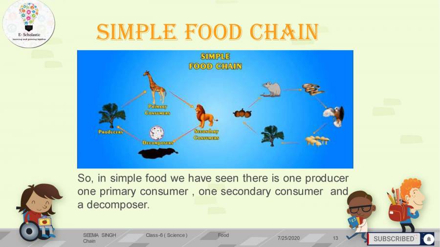 Presentation On Food Chain (Science Class 6) - PowerPoint Slides ...