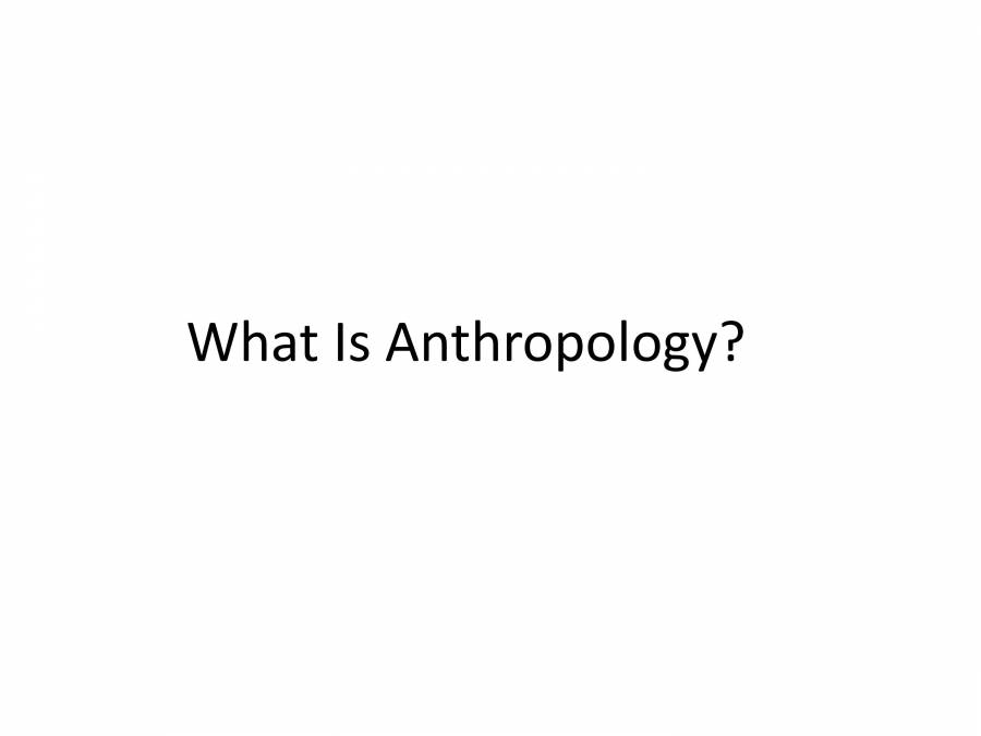 Presentation On Introduction To Anthropology - PowerPoint Slides ...