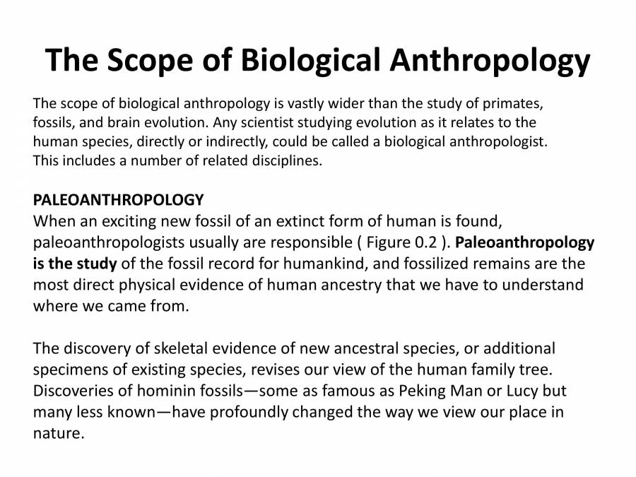 Presentation On Introduction To Anthropology - PowerPoint Slides ...