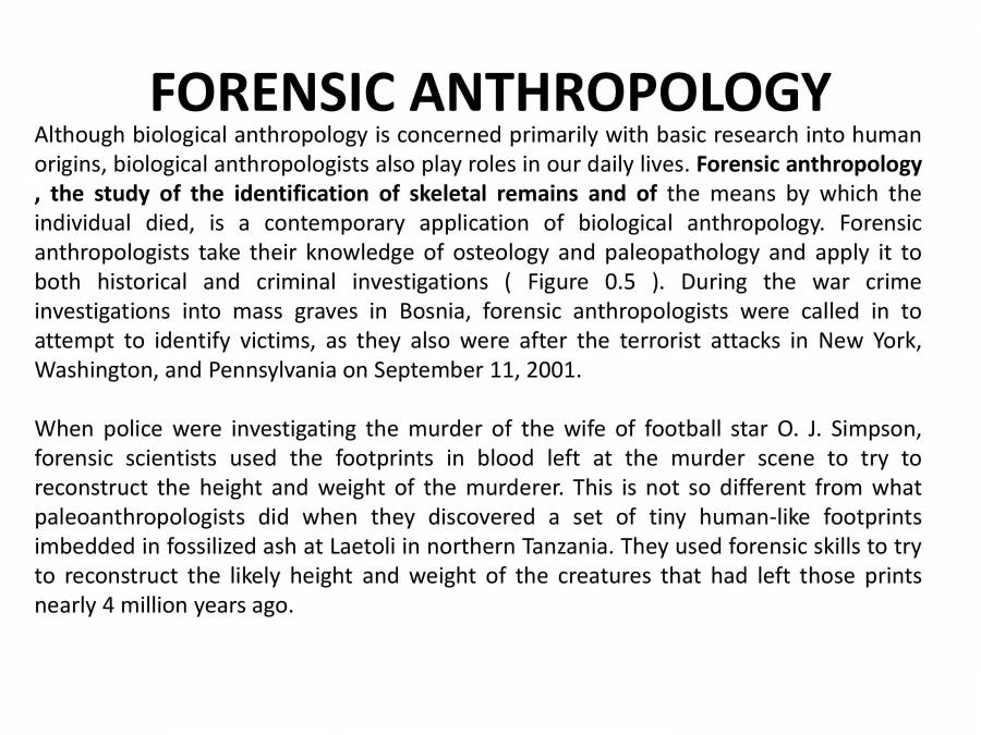 Presentation On Introduction To Anthropology - PowerPoint Slides ...