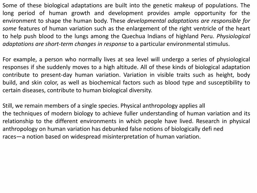 Presentation On Introduction To Anthropology - PowerPoint Slides ...