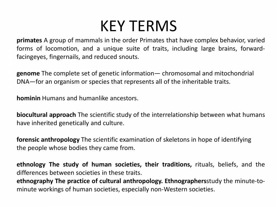 Presentation On Introduction To Anthropology - PowerPoint Slides ...