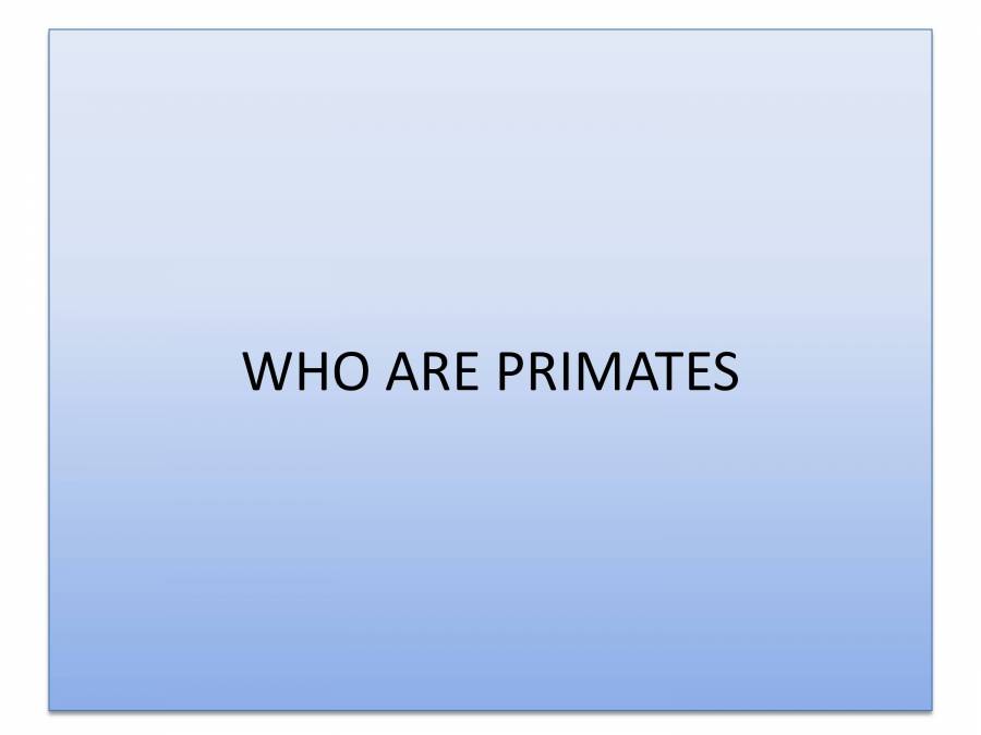 WBCS Optional Primate Study - PowerPoint Slides - LearnPick India