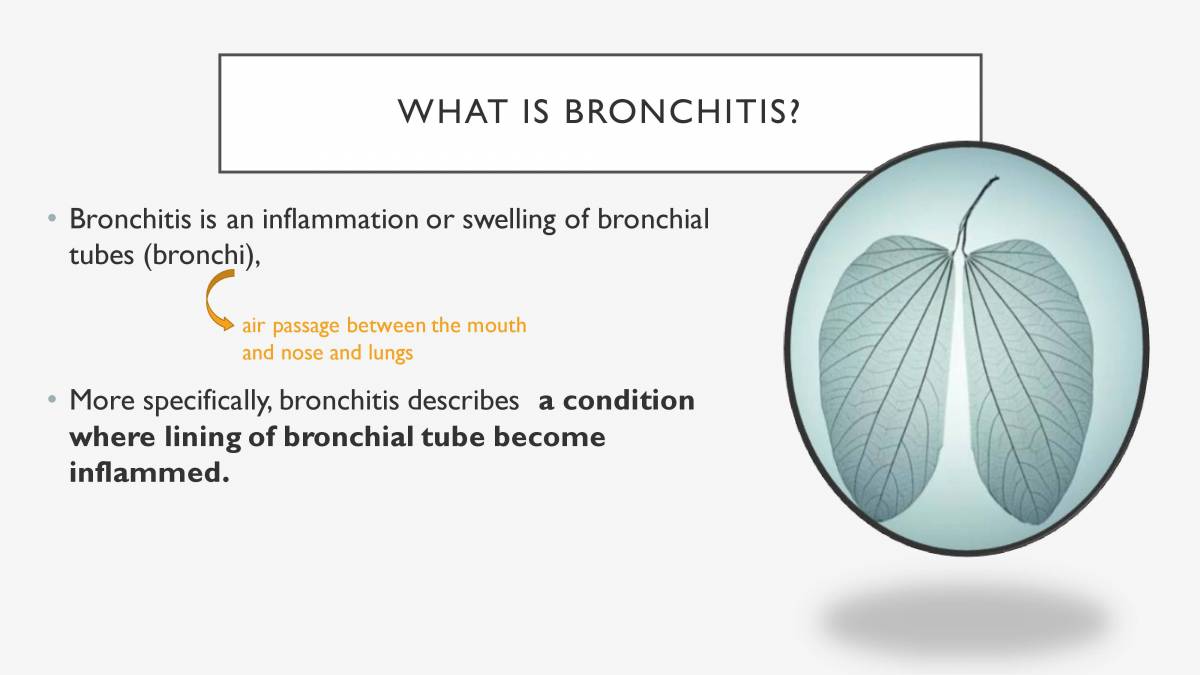Presentation On Bronchitis - PowerPoint Slides - LearnPick India