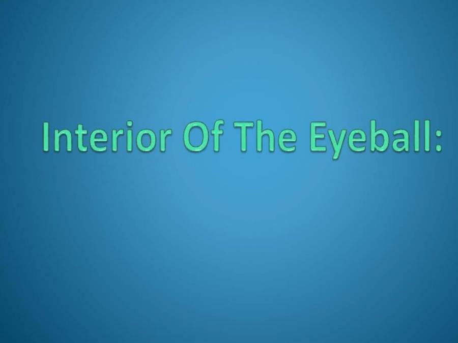 Presentation On Human Eye - PowerPoint Slides - LearnPick India