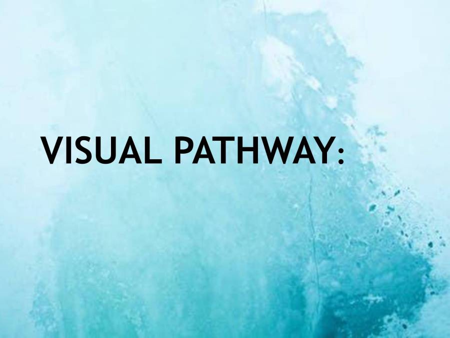 Presentation On Human Eye - PowerPoint Slides - LearnPick India