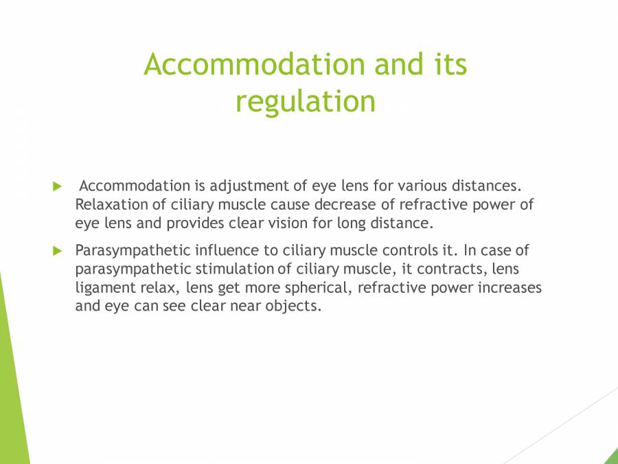 Presentation On Human Eye - PowerPoint Slides - LearnPick India