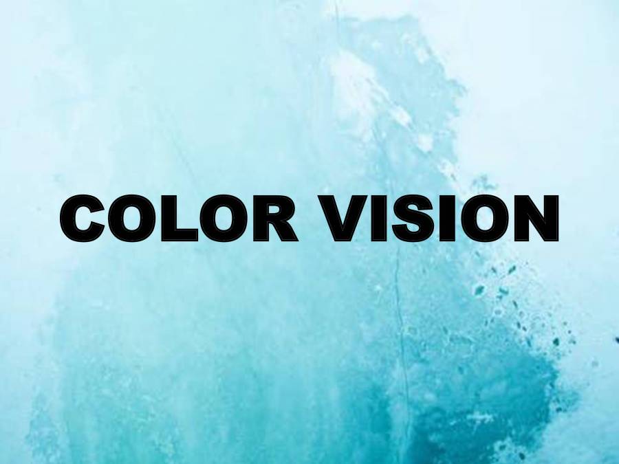 Presentation On Human Eye - PowerPoint Slides - LearnPick India