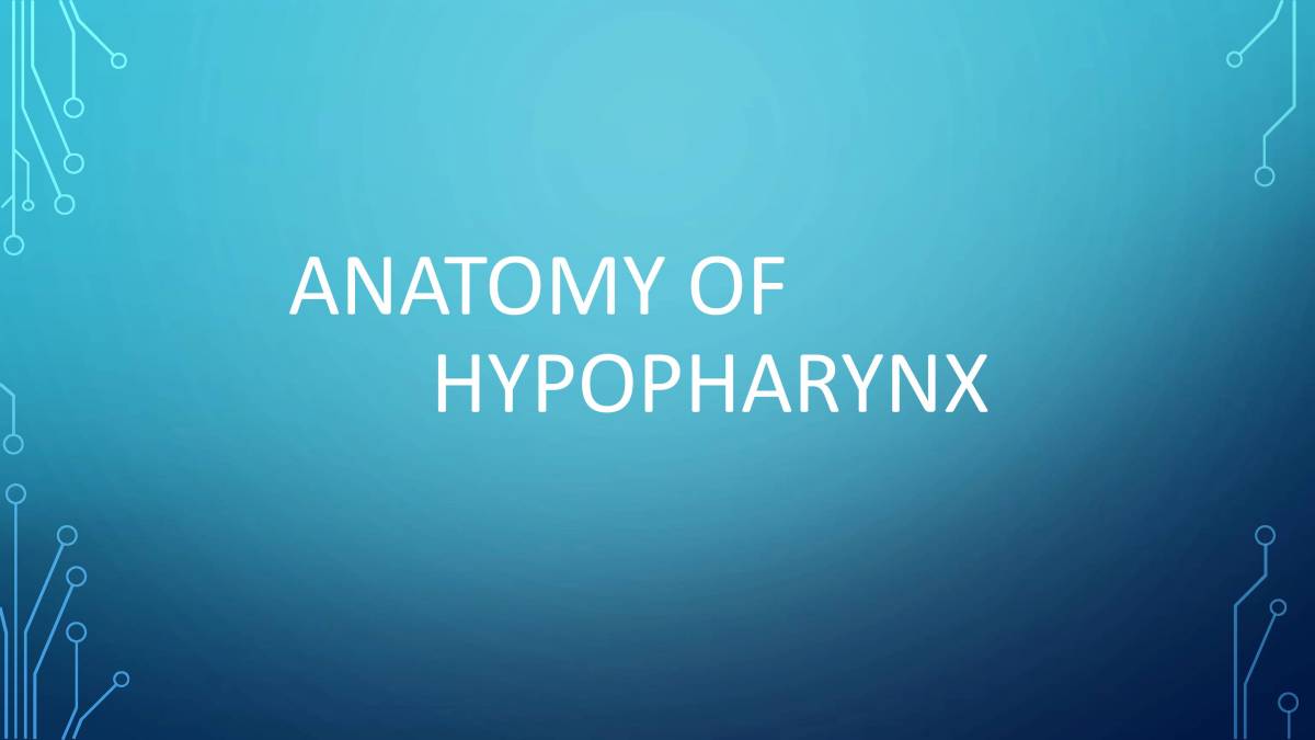 Hypopharynx Anatomy