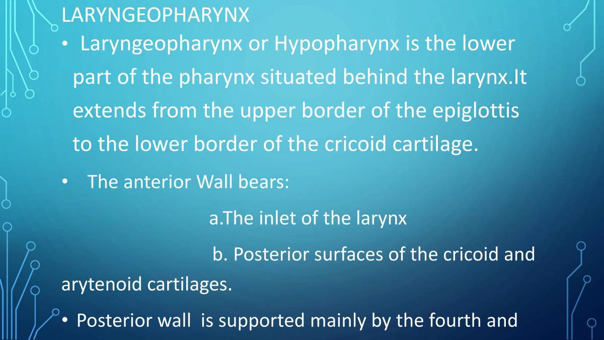 Presentation On Anatomy Of Hypopharynx - PowerPoint Slides - LearnPick ...