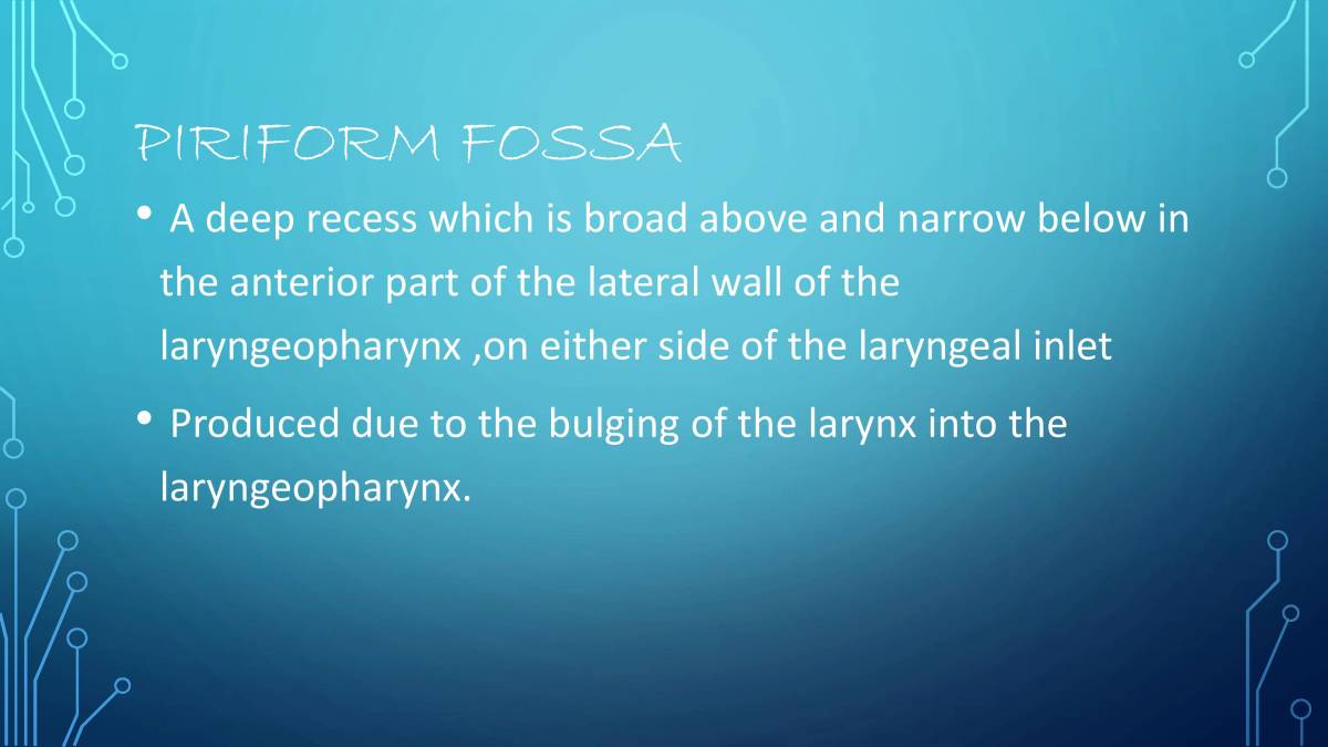 Presentation On Anatomy Of Hypopharynx - PowerPoint Slides - LearnPick ...